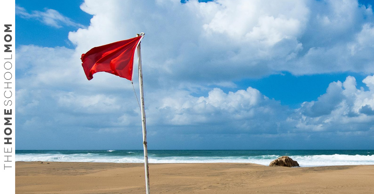 New Homeschoolers, Beware These Red Flags