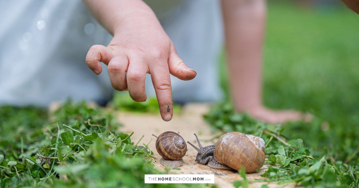 Goldilocks Effect: Learning When It's "Just Right"