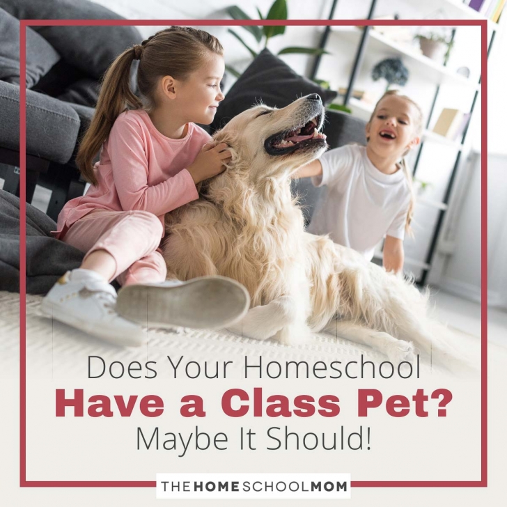 Does Your Homeschool Have a Class Pet? If Not, Maybe It Should