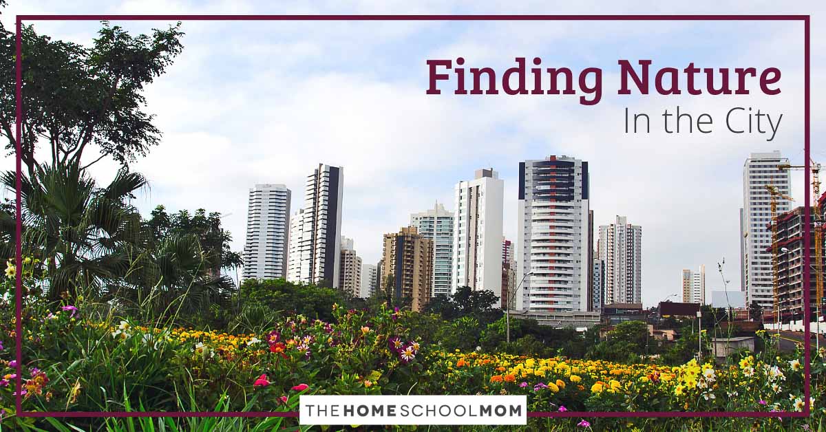Finding Nature in the City
