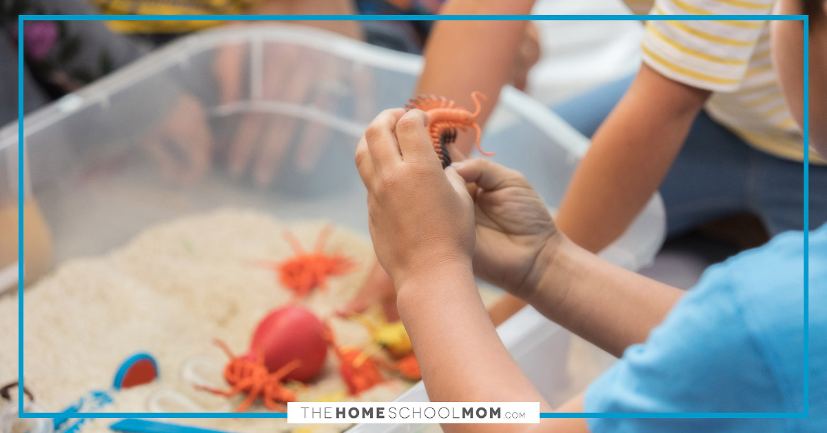 20+ Tried and True Homeschooling Activities and Resources