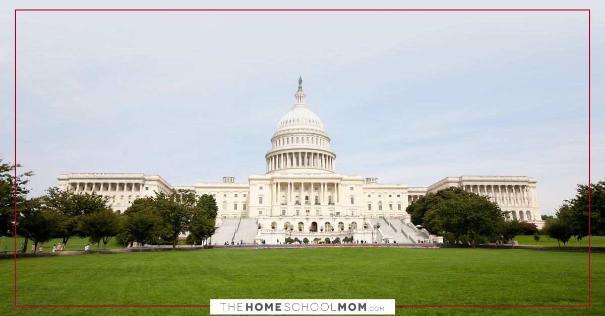 Homeschool Government - TheHomeSchoolMom
