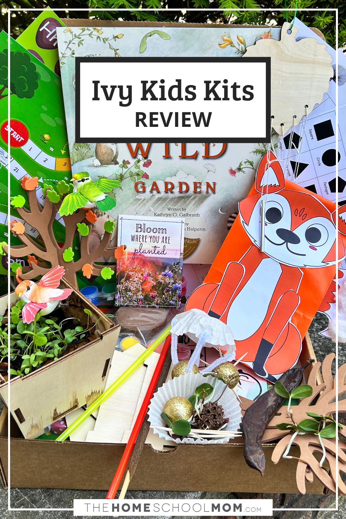 Ivy Kids Kits Review